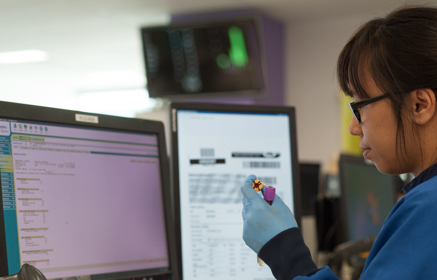 Awanui — News — CIO insights into our largest IT project