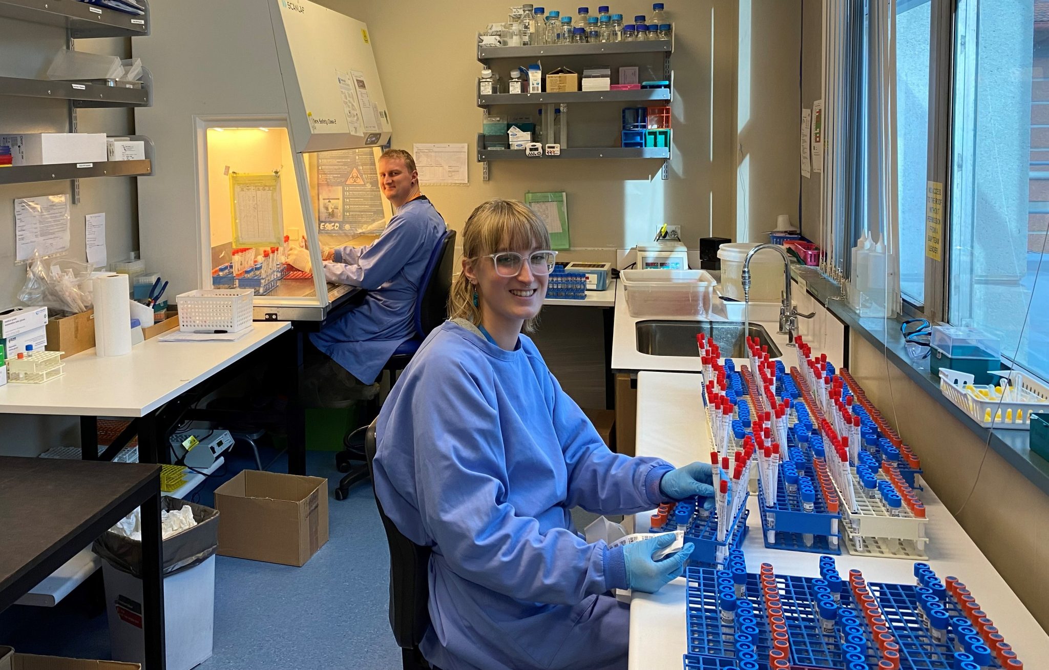Awanui — News — Primary HPV screens hit 100K swab samples this year