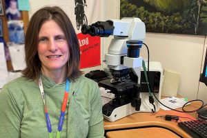 Awanui — News — Dr Elizabeth Roberts appointed VP New Zealand of RCPA